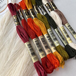 Thread Pack- Harvest Time - DMC Thread Skein Pack - DIY Embroidery ...