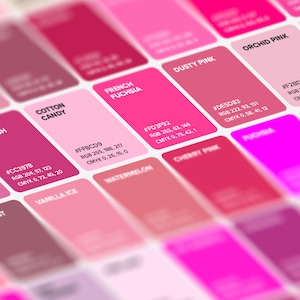 100 Pink Shades Color Poster, Wall Art Color, Chart & Sheet, Color ...