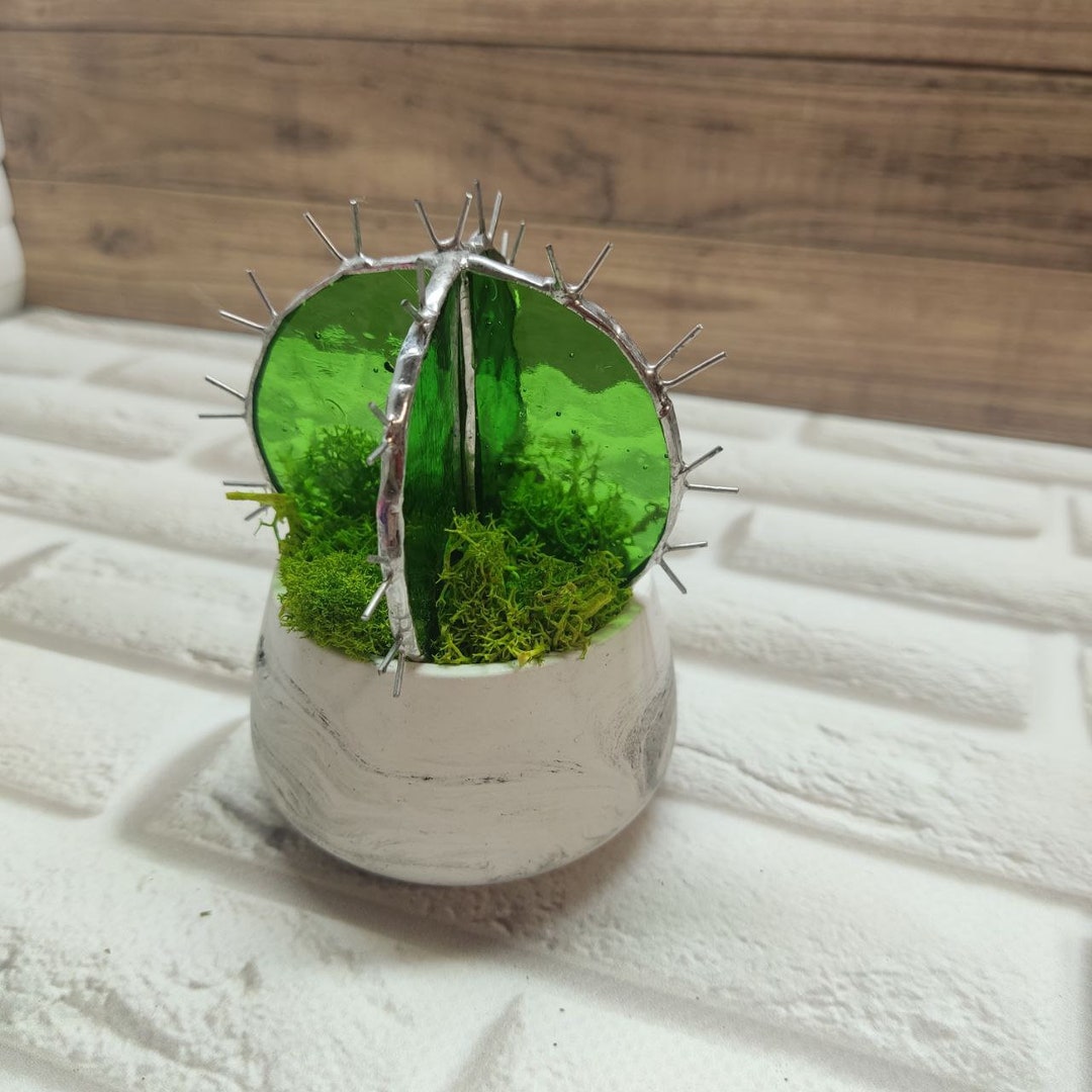 Stained Glass Cactus, Potted Cactus, Cactus Plant, Stained Glass Flower ...