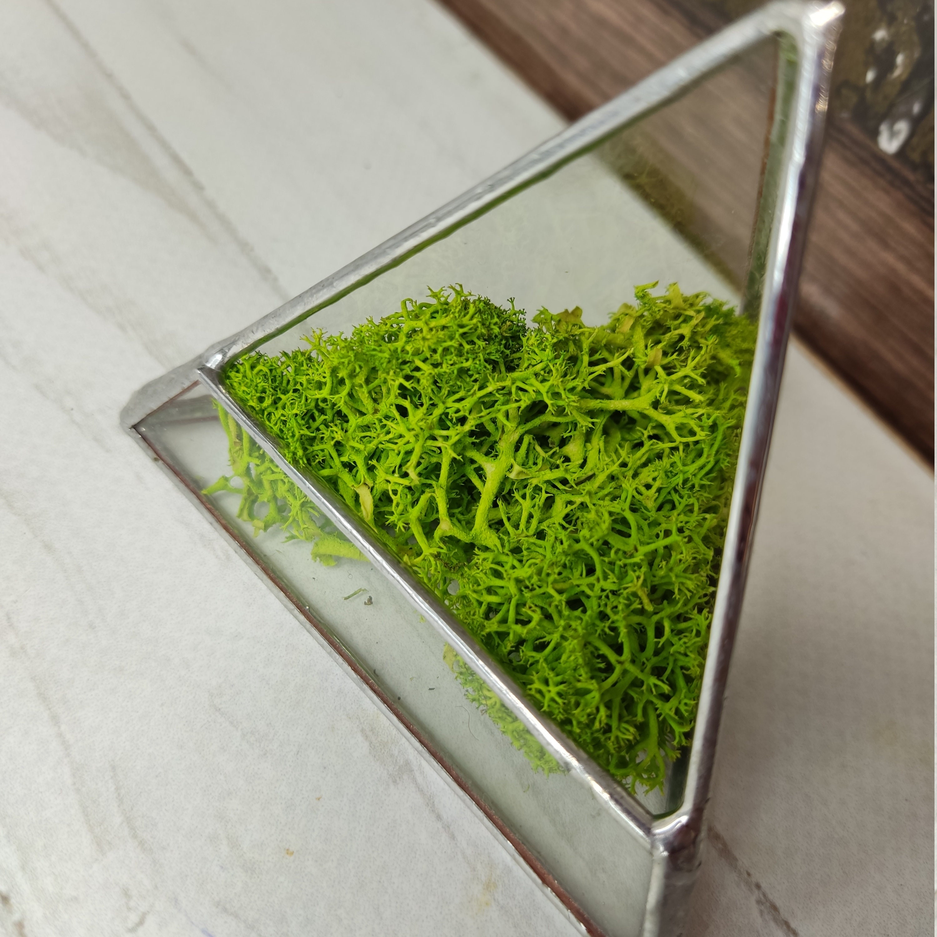 Mini Florarium stained glass Triangular Florarium Glass | Etsy