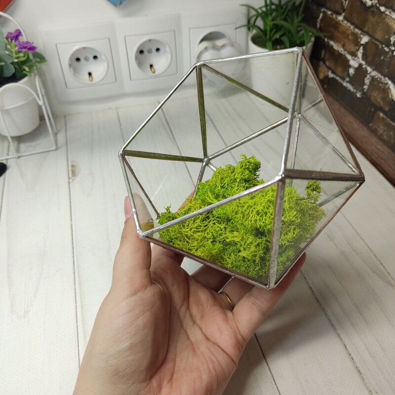 Geometric Terrarium - Etsy