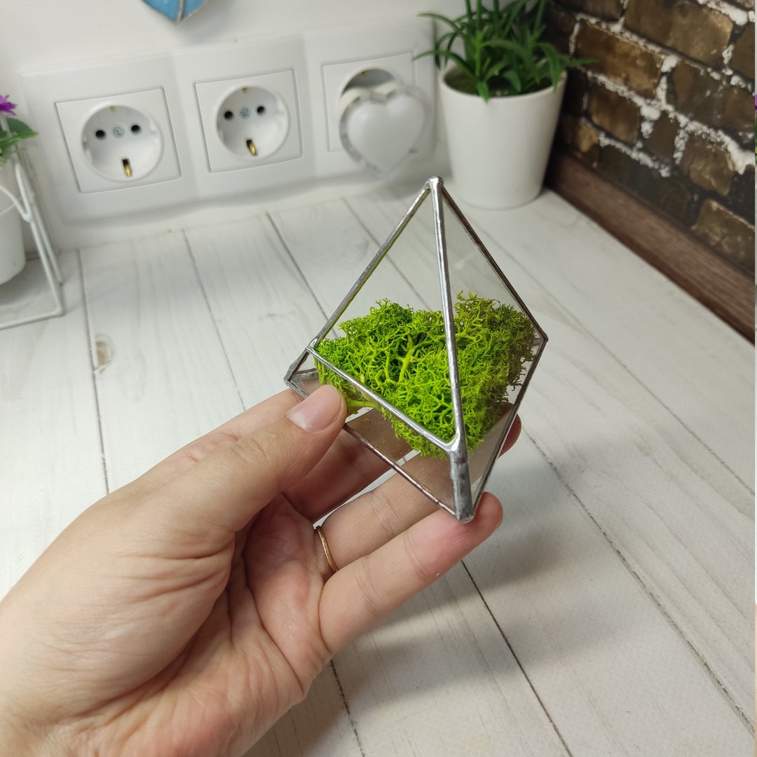 Mini Florarium Stained Glass, Triangular Florarium, Glass Geometric ...
