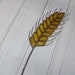 Stained Glass Wheat Prairie Gold Wheat Decor Tall Grass - Etsy Canada