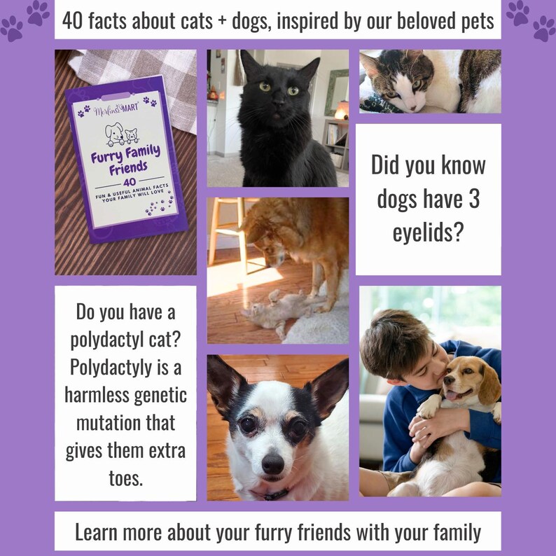 Collection of Fun Facts Pet Zine | Furry Family Friends | Booklet - Etsy