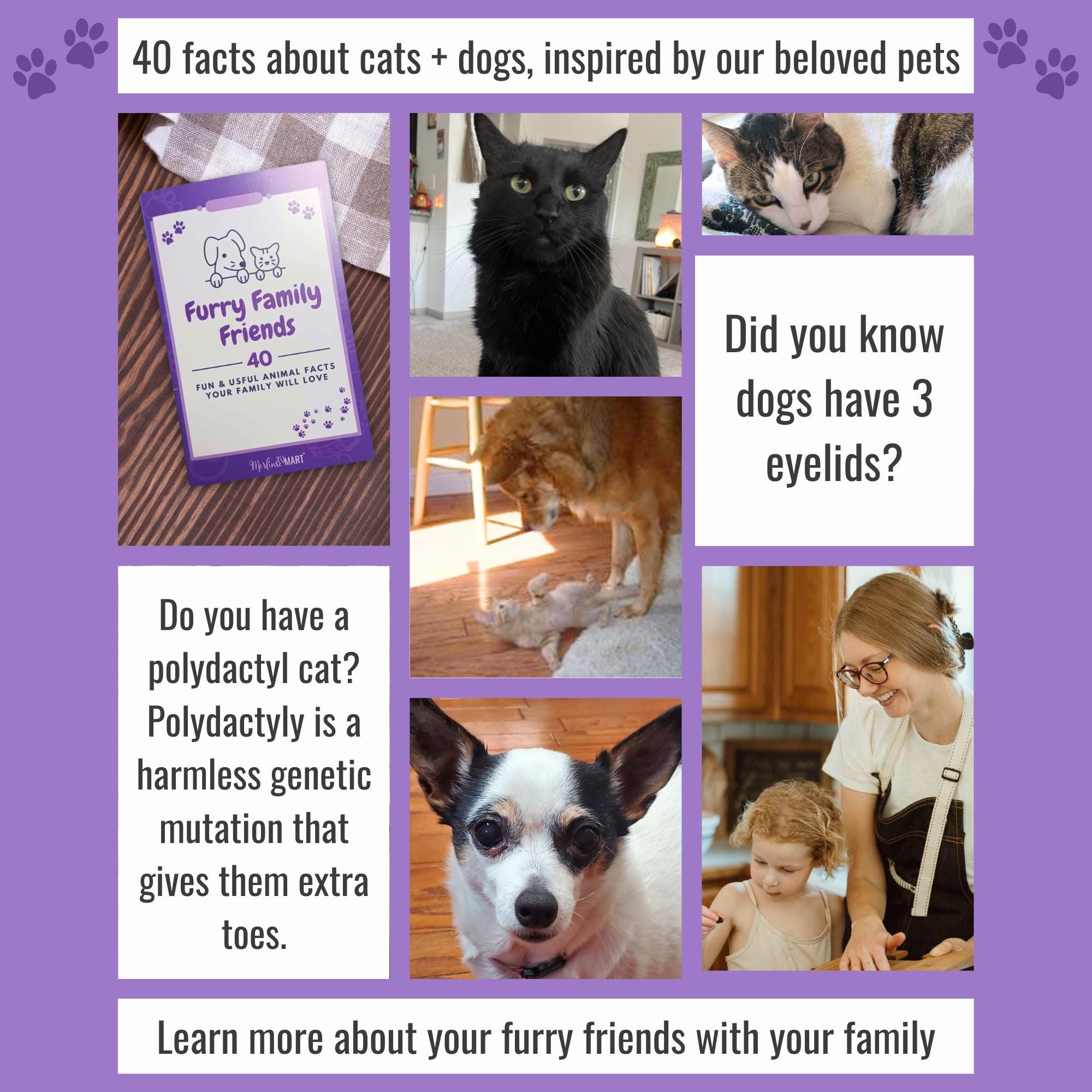 Collection of Fun Facts Pet Zine Furry Family Friends Booklet - Etsy