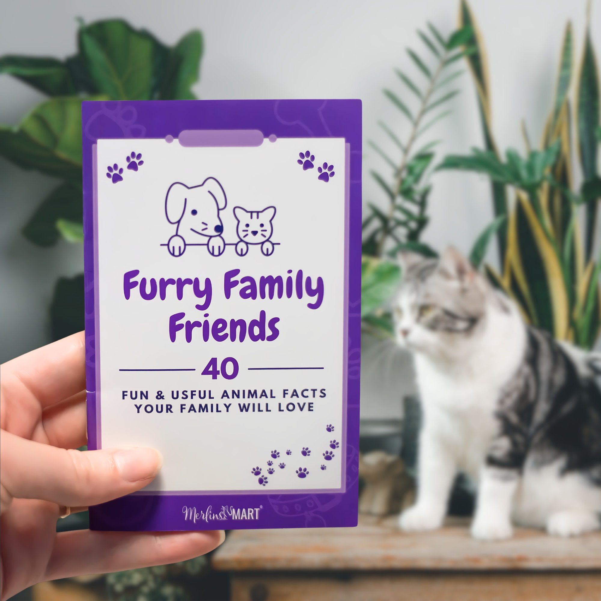Collection of Fun Facts Pet Zine Furry Family Friends Booklet - Etsy
