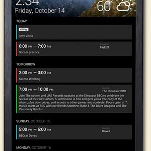 Digital Smart Calendar Organise Your Life Busy Family Mum's & Dad ...