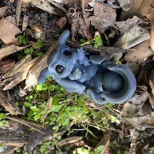 Pillbug Dragon: the Tiny Dragon Isopod Ball Joint Doll BJD - Etsy