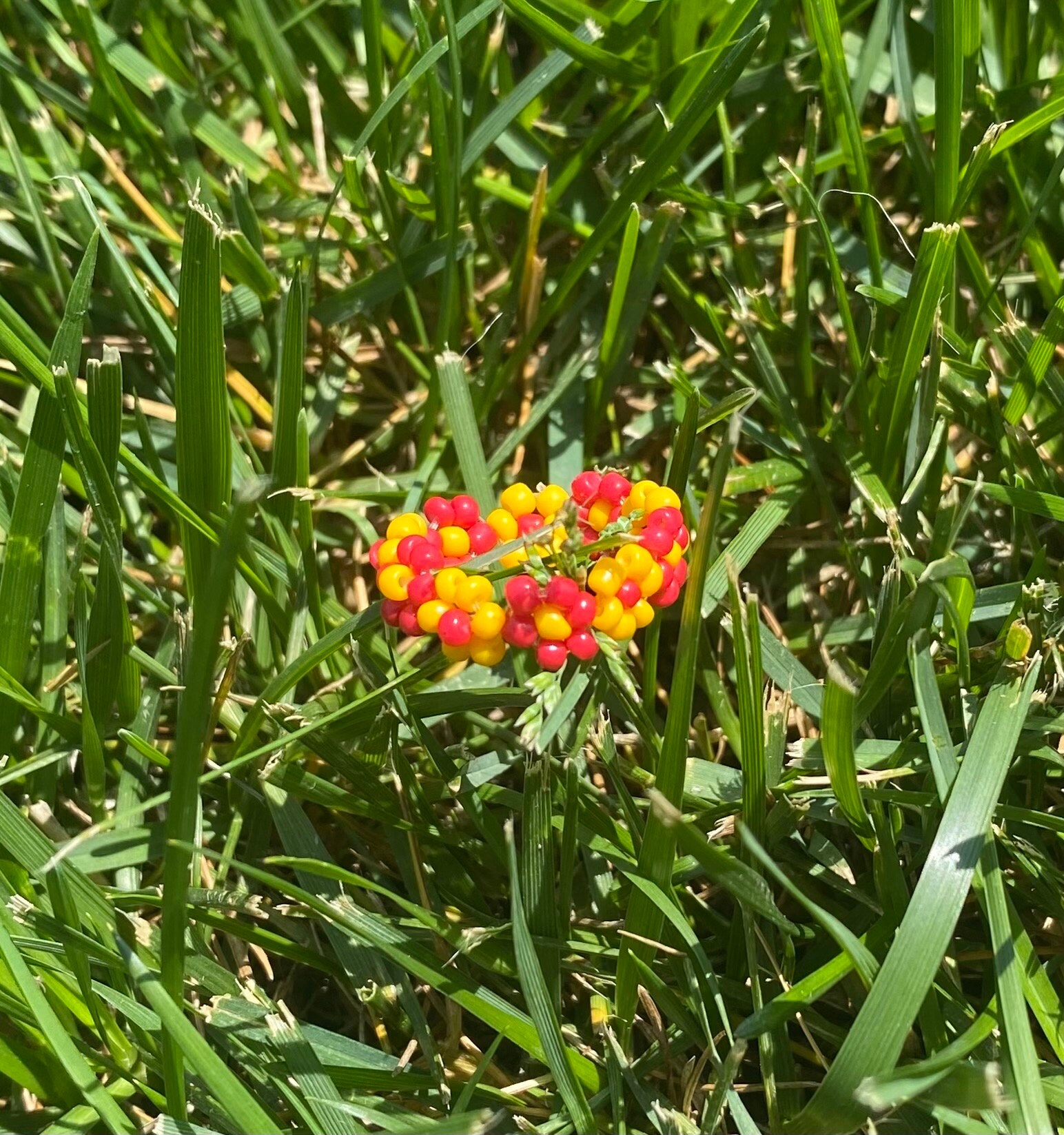 Carlos Sainz Jewelry Set Ferrari - Etsy