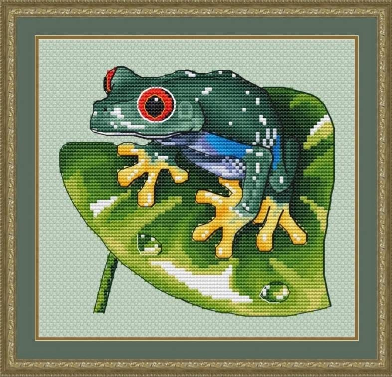 Red-eyed Treefrog Counted Cross Stitch Pattern Frog | Etsy