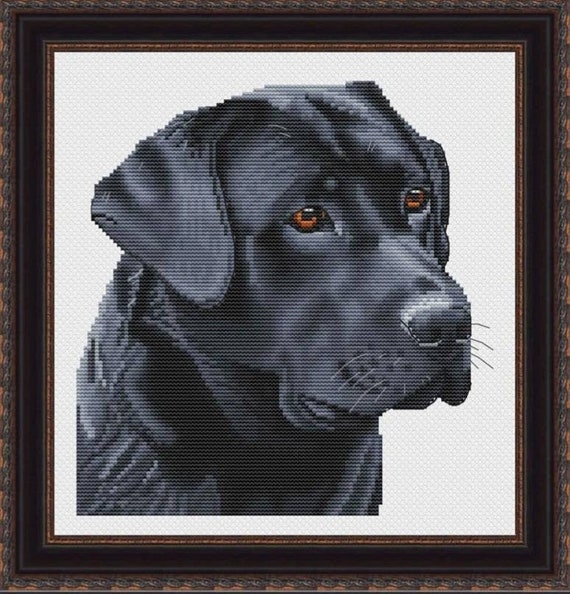 Black Labrador Counted Cross Stitch Pattern - Etsy