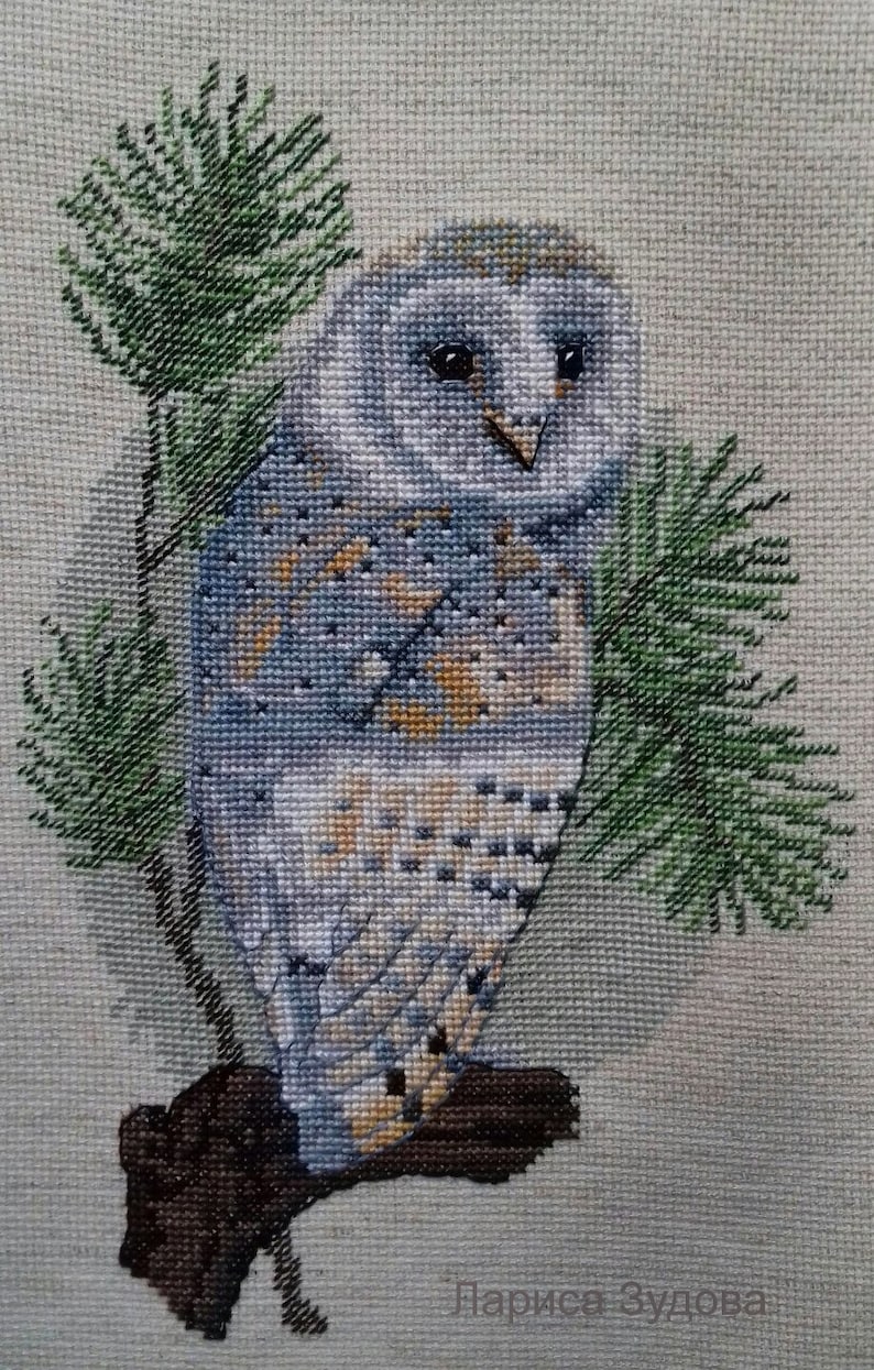 Barn Owl Counted Cross Stitch Pattern - Etsy
