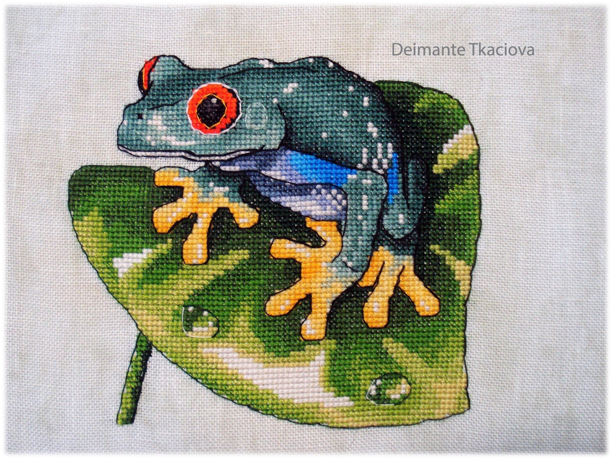 Red-eyed Treefrog Counted Cross Stitch Pattern Frog | Etsy