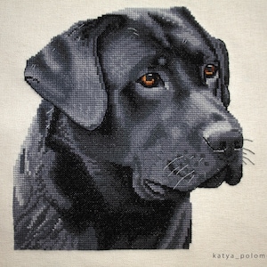 Black Labrador Counted Cross Stitch Pattern - Etsy