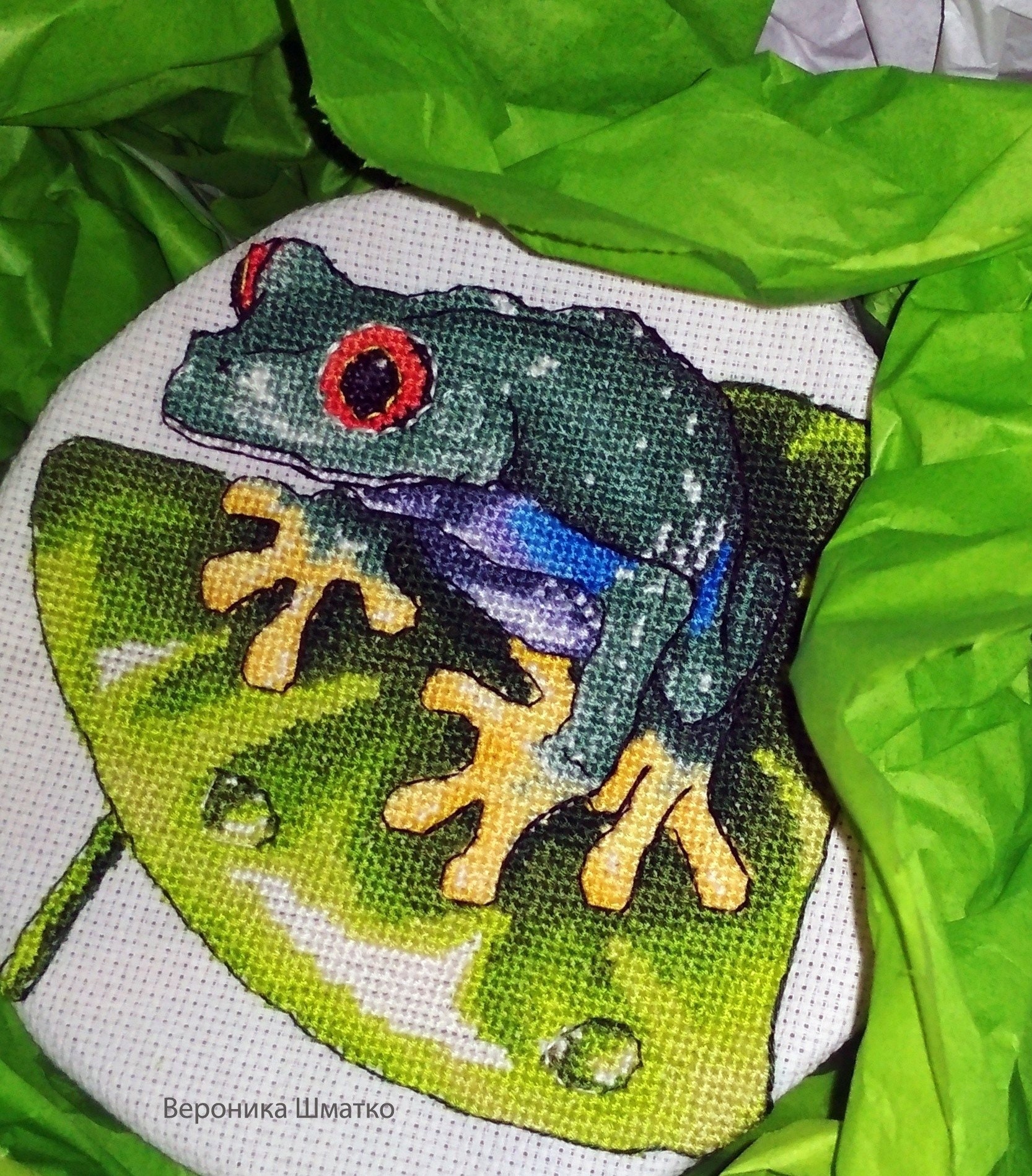 Red-eyed Treefrog Counted Cross Stitch Pattern Frog | Etsy
