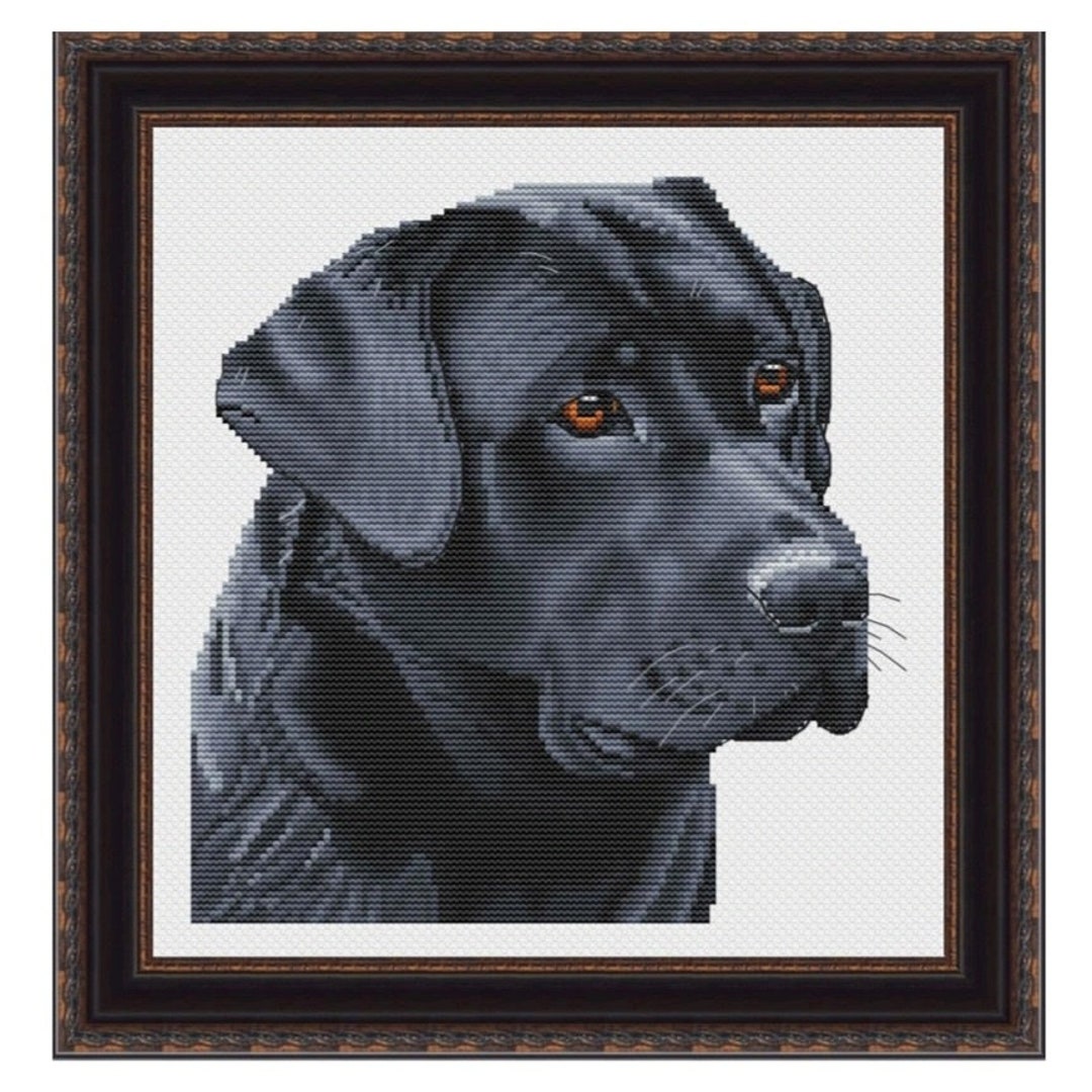 Black Labrador Counted Cross Stitch Pattern - Etsy