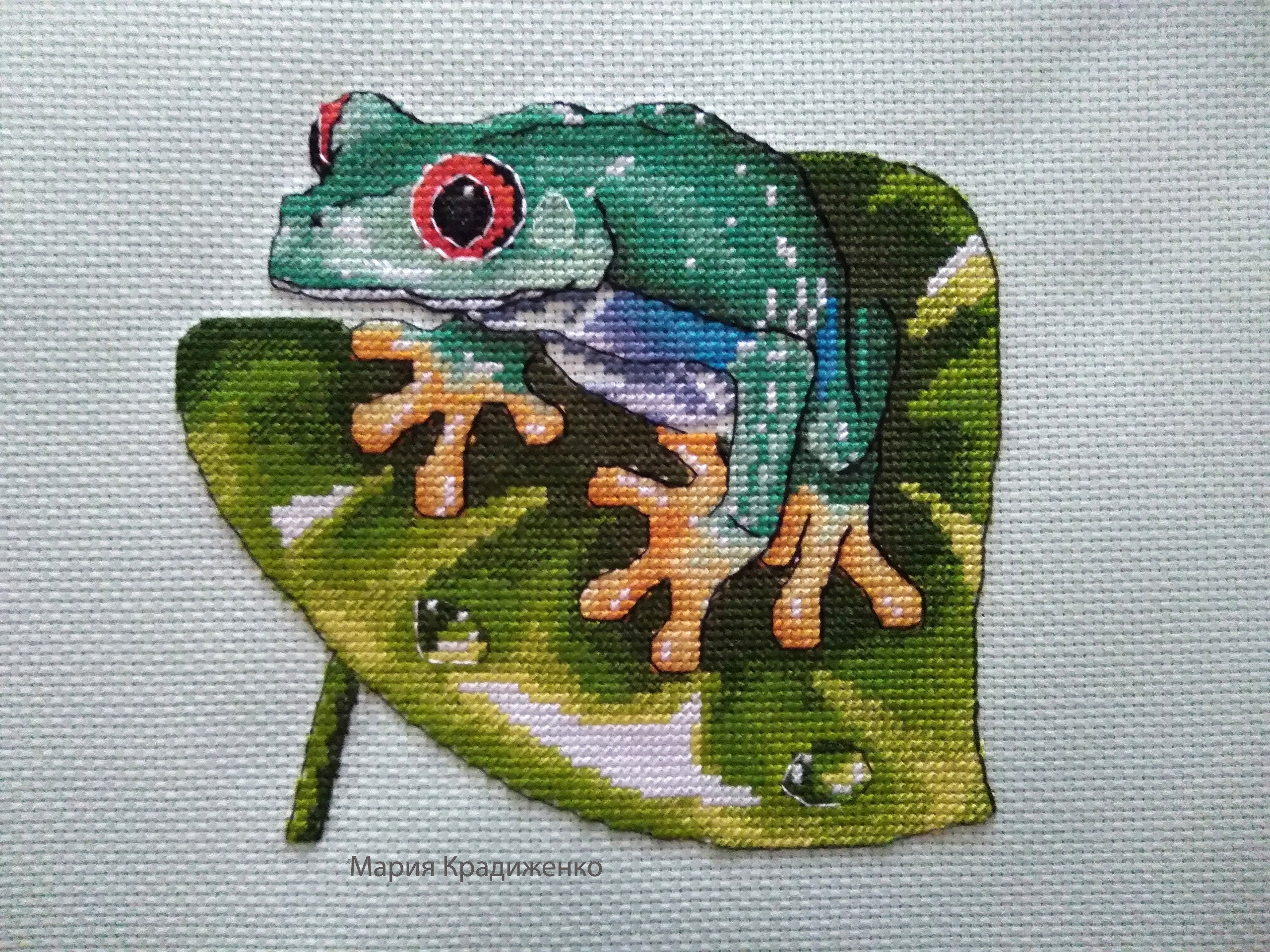 Red-eyed Treefrog Counted Cross Stitch Pattern Frog | Etsy