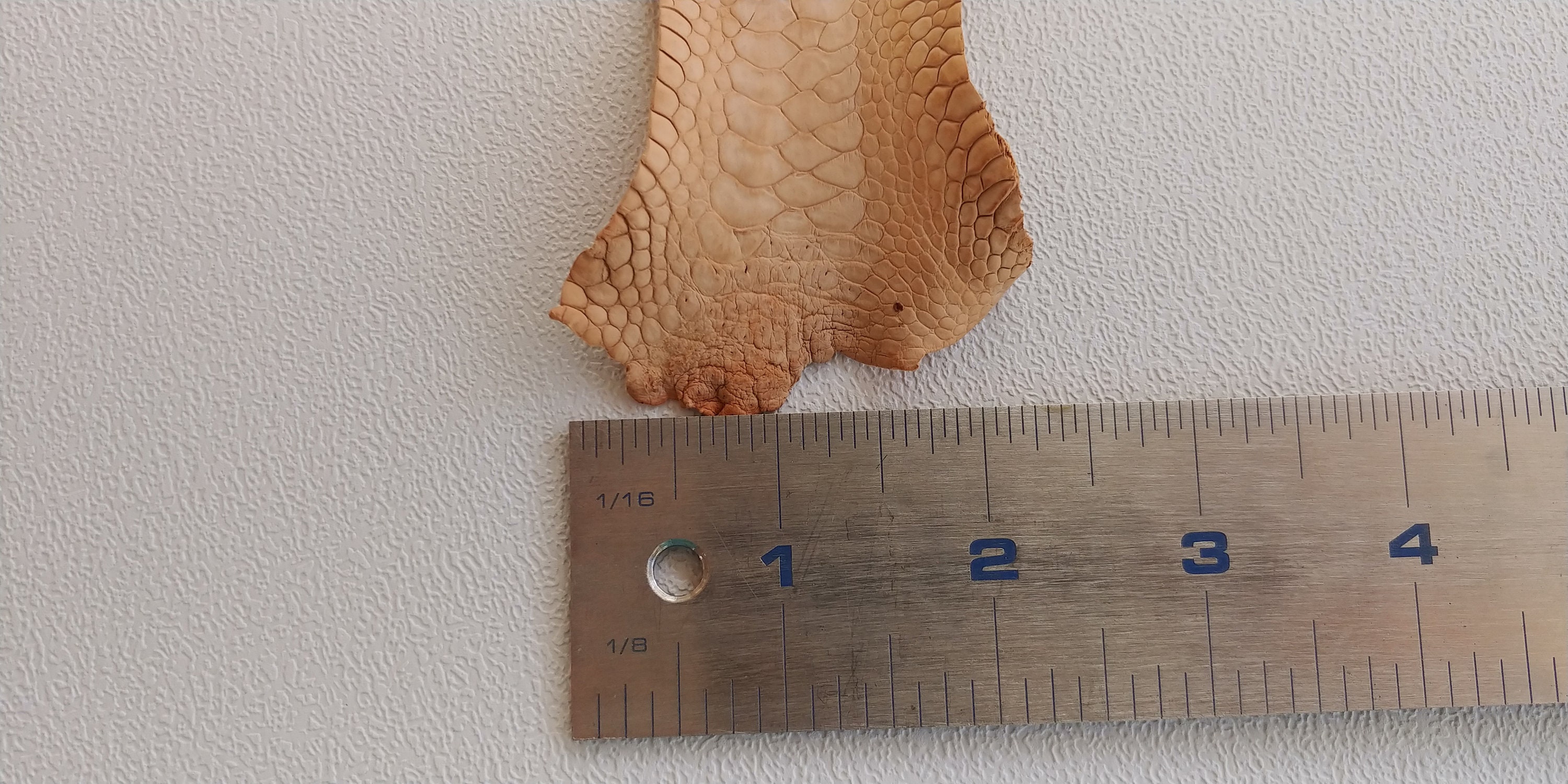 All Natural Chicken Leather 10 Pieces - Etsy Australia