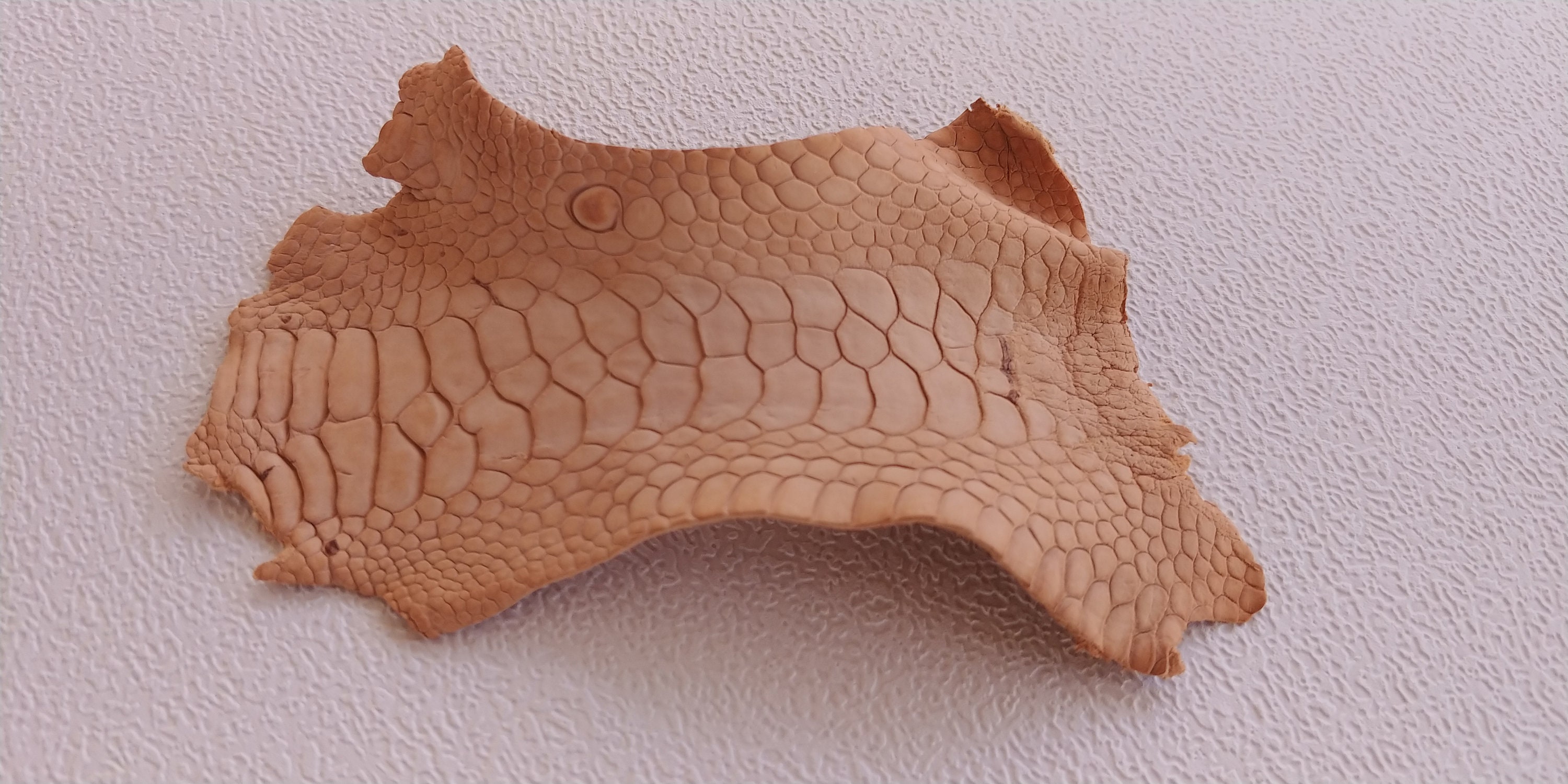 All Natural Chicken Leather 10 Pieces - Etsy