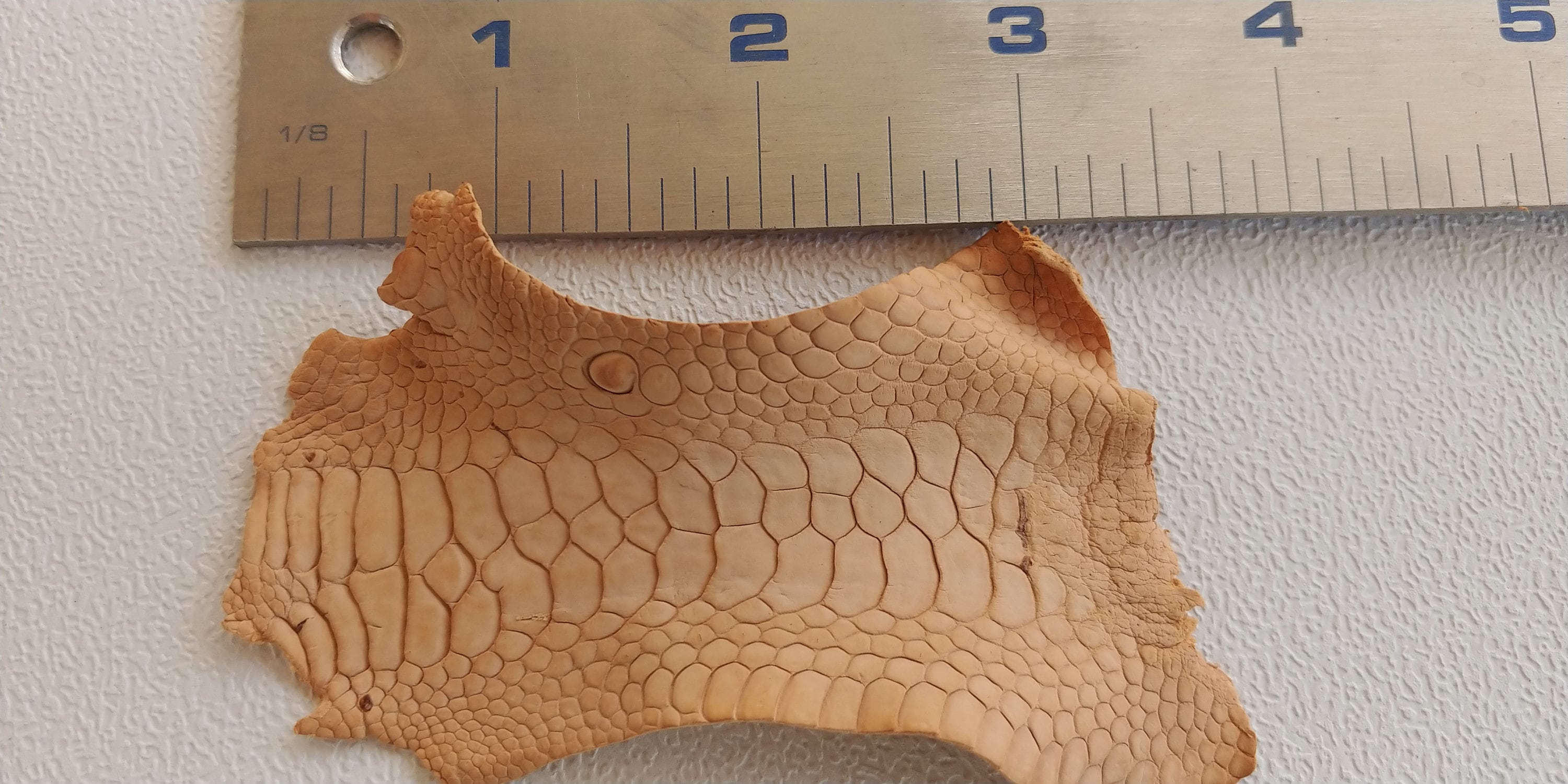 All Natural Chicken Leather 10 Pieces - Etsy Australia