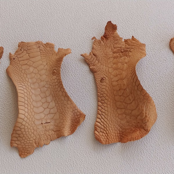 Chicken Feathers - Etsy