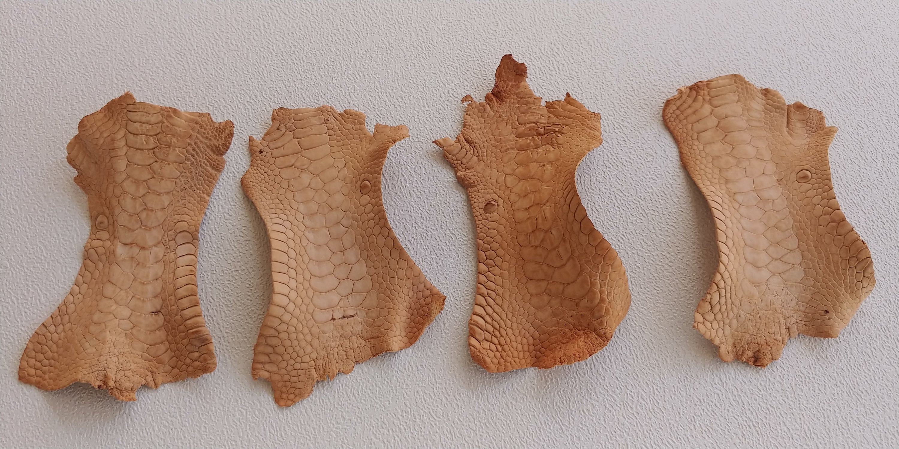 All Natural Chicken Leather 10 Pieces - Etsy Australia