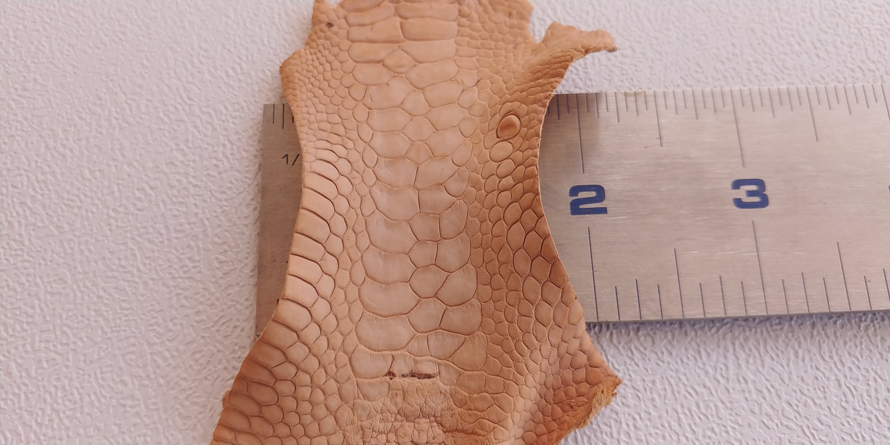 All Natural Chicken Leather ( 10 Pieces ) - Etsy