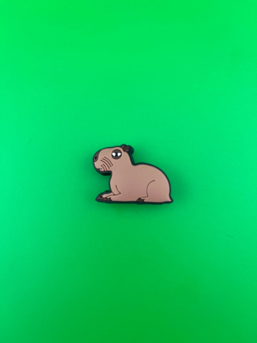 Charming Capybara Shoe Decoration for Clogs Gift Accessory - Etsy