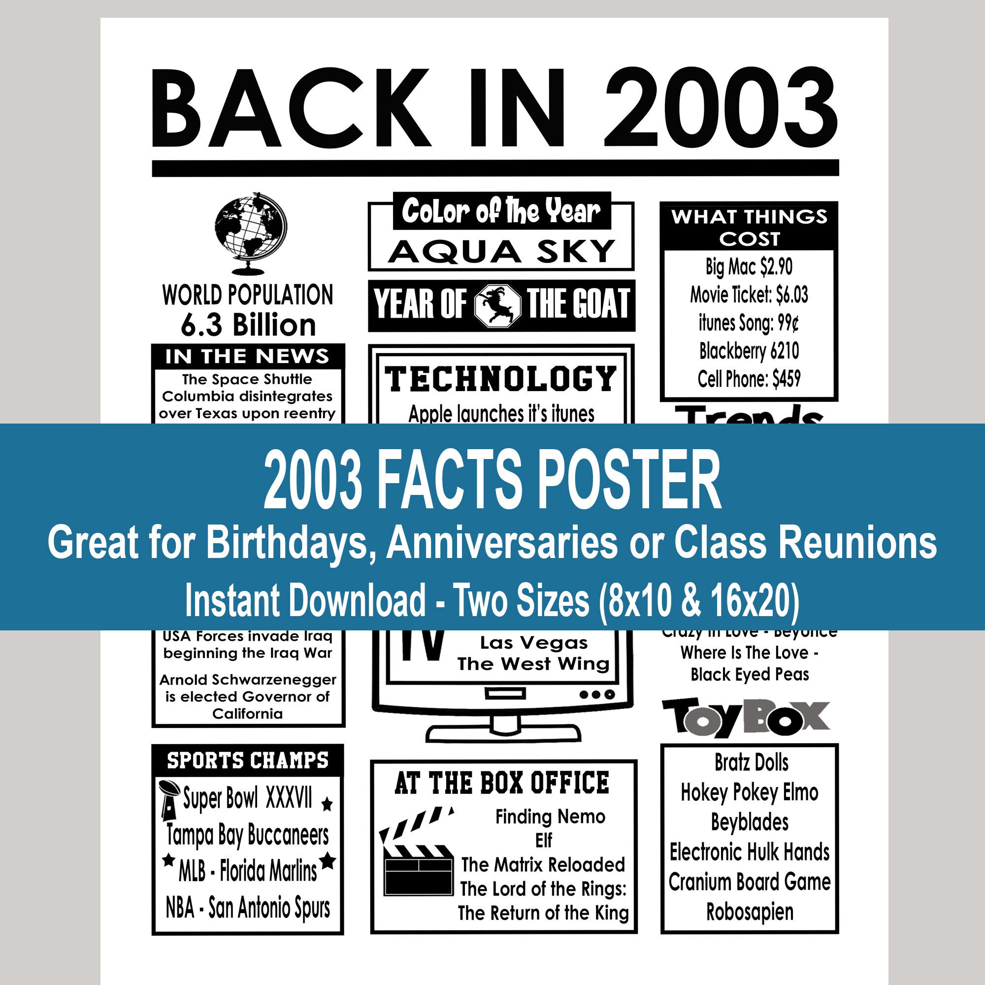 2003 Birthday Facts Poster, 20th Birthday Sign, 2003 Class Reunion Sign ...