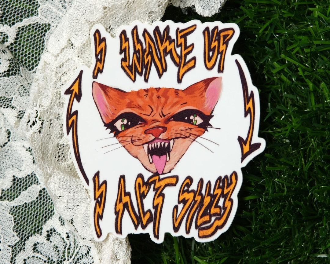 I Wake Up, I ACT SILLY ! Cat Vinyl Sticker - Etsy