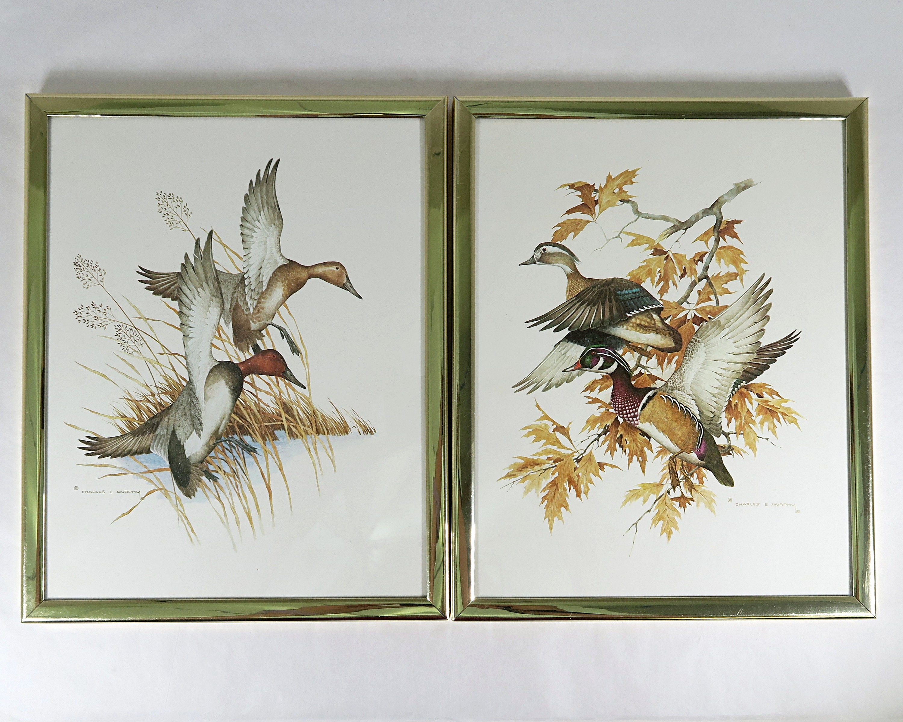 charles e murphy for sale | View 38 classified ads