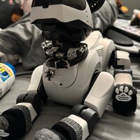 Vinyl Aibo ERS-1000 Head Decal Stickers - Etsy
