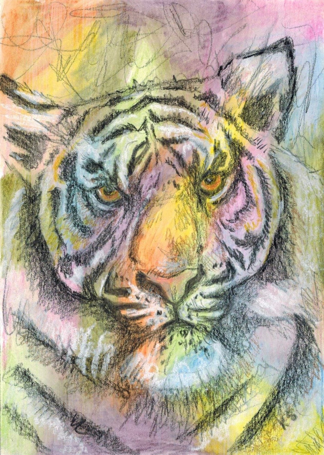 Tiger Drawing, Tiger Art, Colorful Tiger, 5x7 Art, Big Cat, Wildcat ...