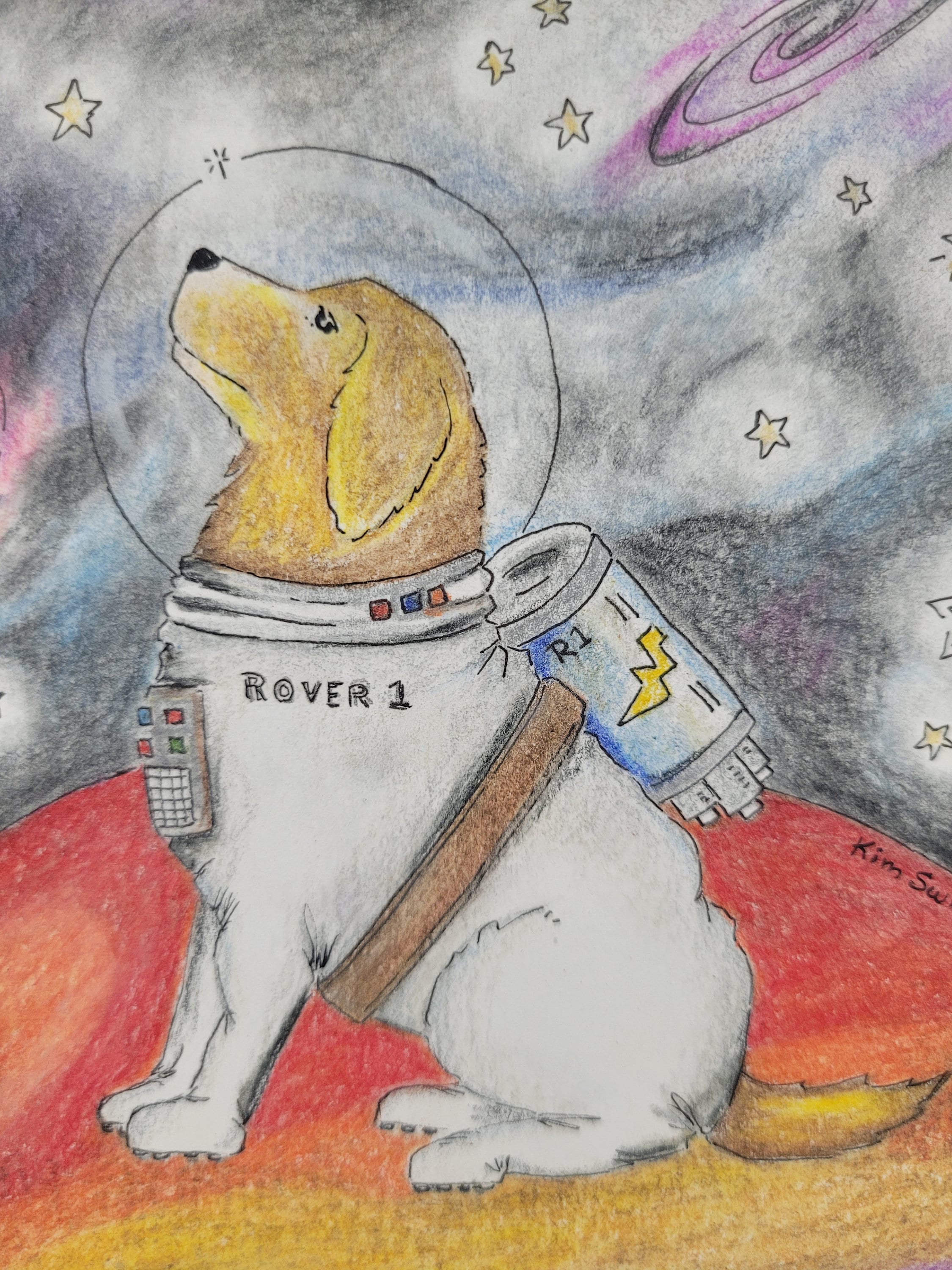 Doge Astronaut Painting