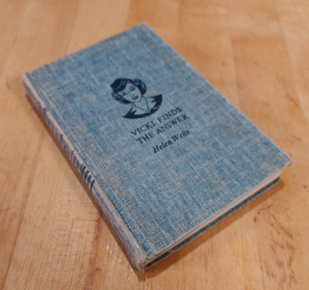 Vicki Barr Flight Stewardess Series Book - Etsy