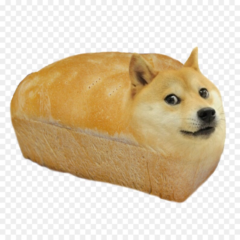 Doge meme Bread Plush toy | Etsy