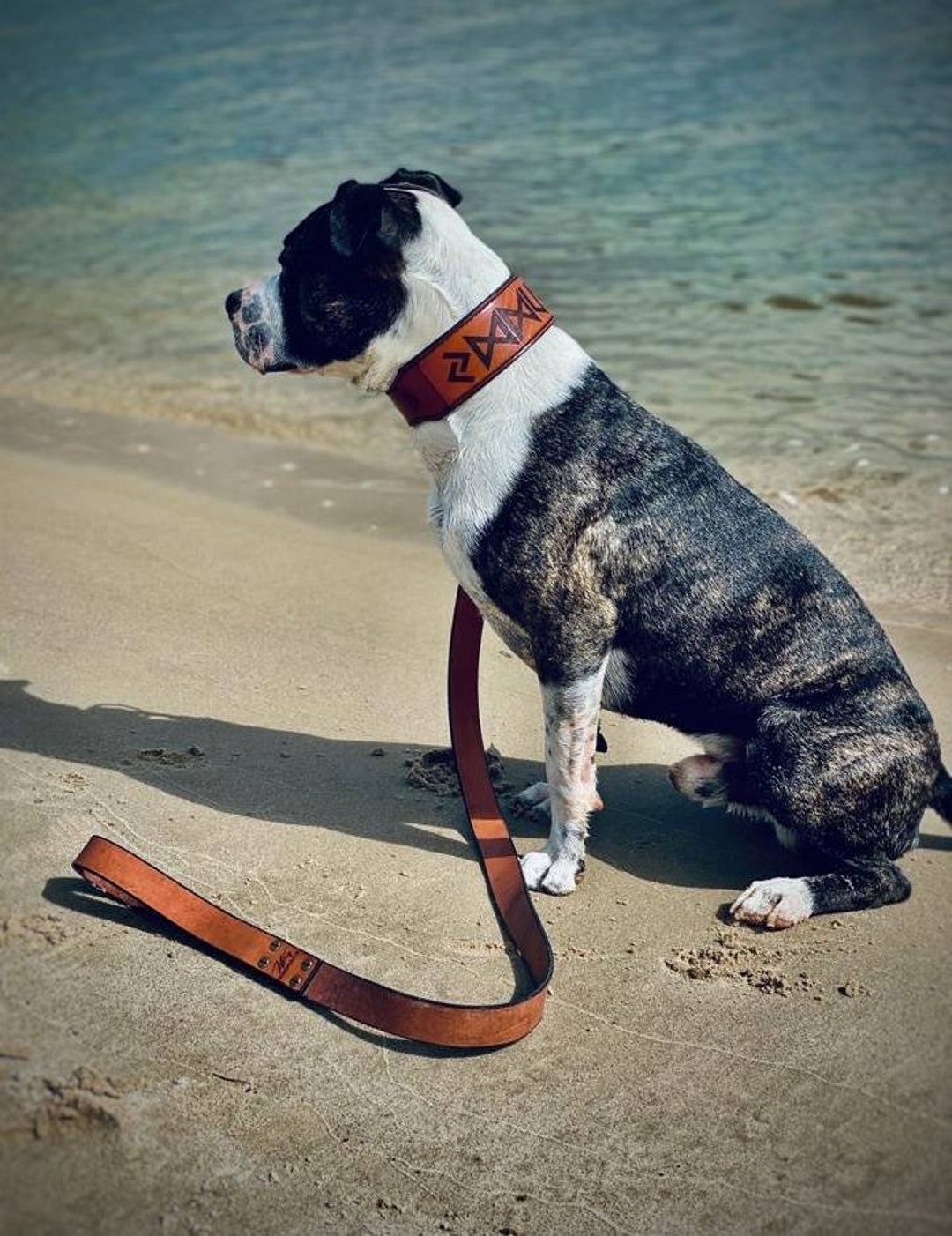 Leather Collar nordic Runes / Runes / Dogcollar / Dog Collar / Dog ...