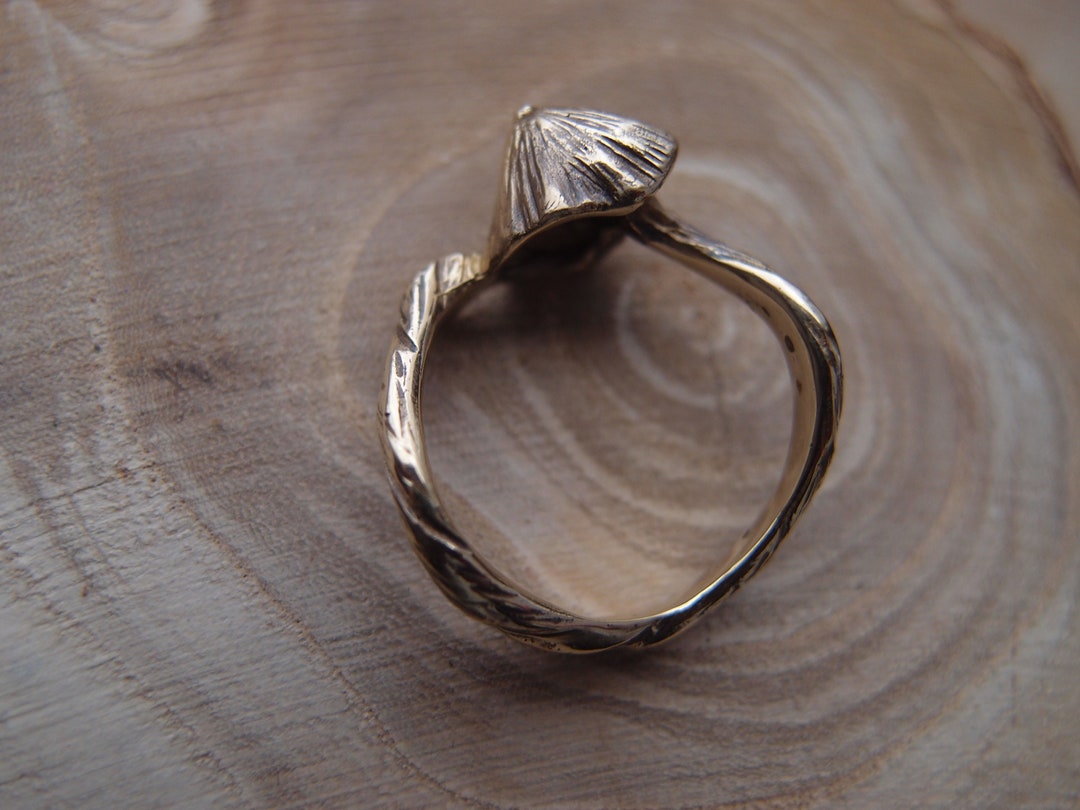 Toadstools Fungi Fly Agaric Magic Mushrooms Bronze Ring - Etsy