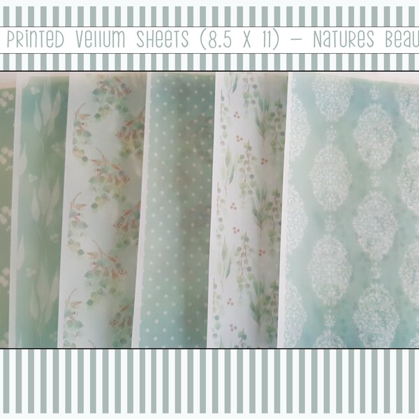 Vellum Paper - Etsy