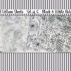 Printed Vellum Sheets/vellum Paper/black and White Botanical Vellum ...