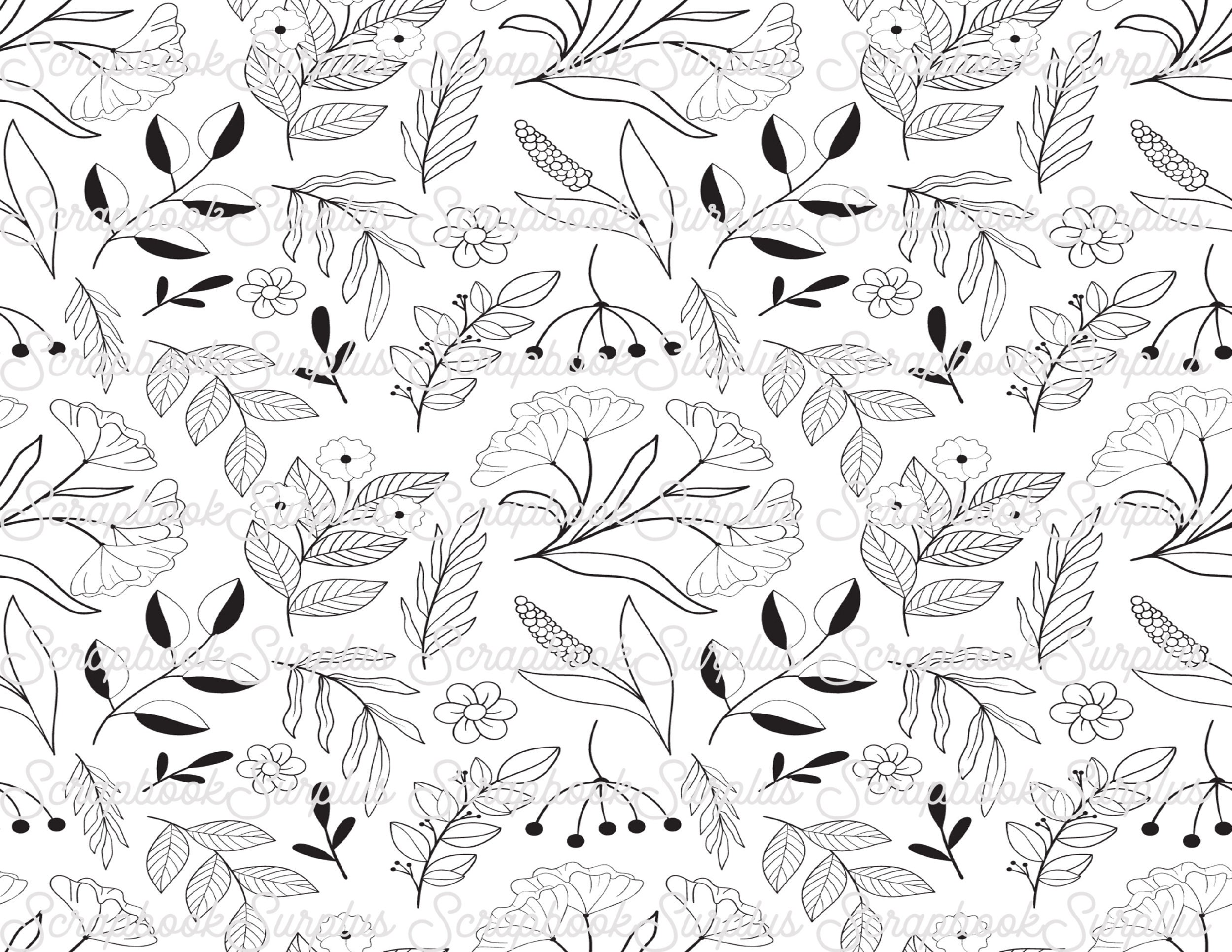 Printed Vellum Sheets/vellum Paper/black and White Botanical - Etsy