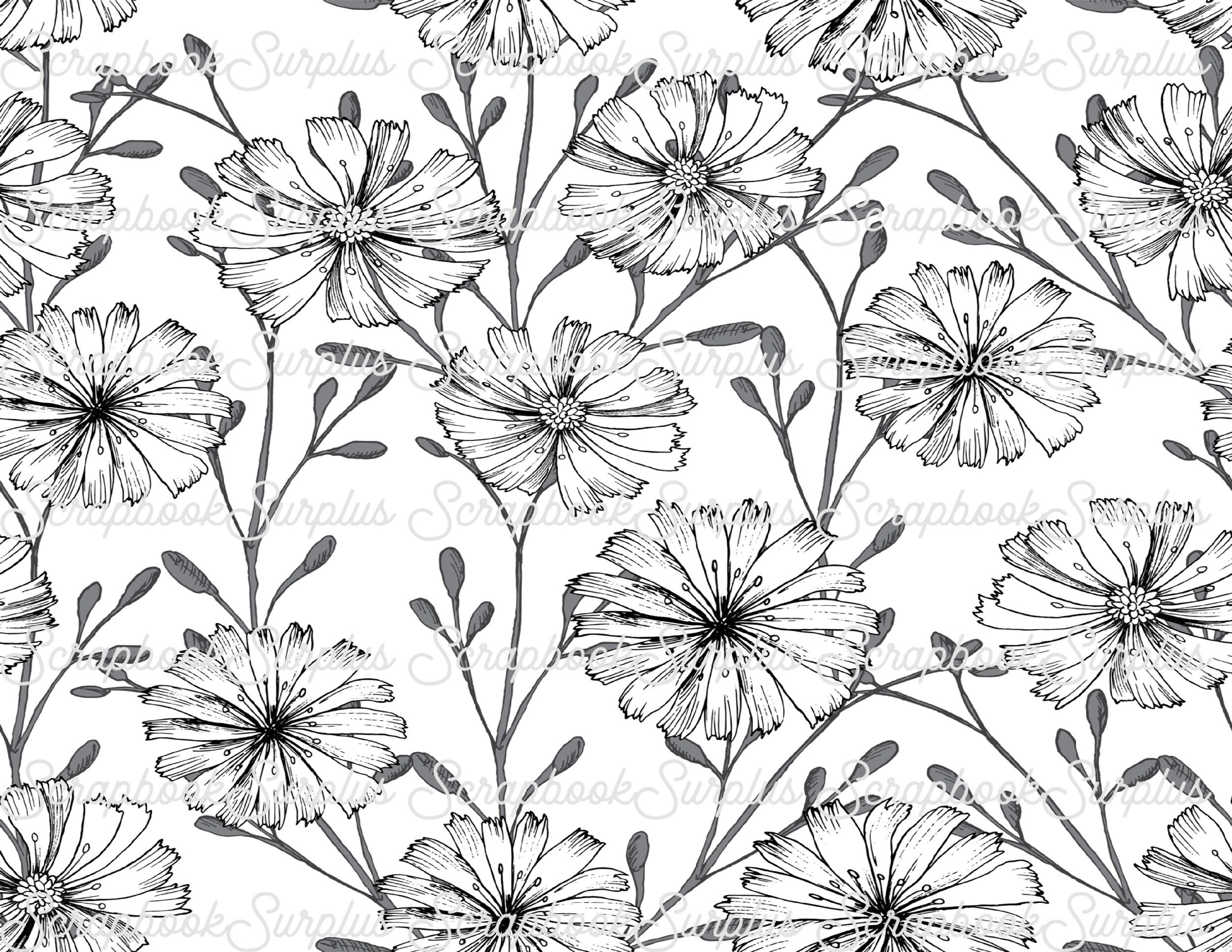 Printed Vellum Sheets/vellum Paper/black and White Botanical - Etsy