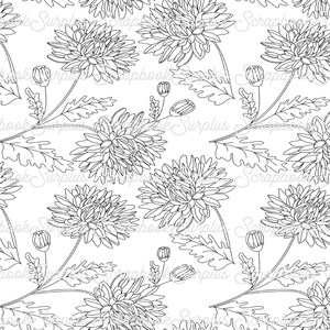 Printed Vellum Sheets/vellum Paper/black and White Botanical Vellum ...