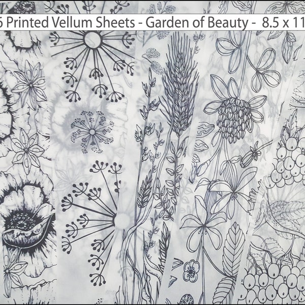 Vellum Paper - Etsy