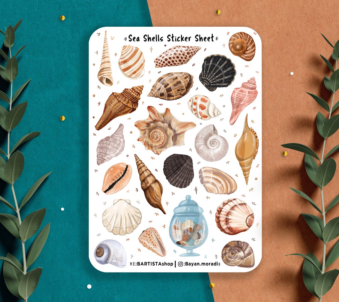 Seaside Shells Sticker Sheet , Planner Stickers, Journal Stickers ...