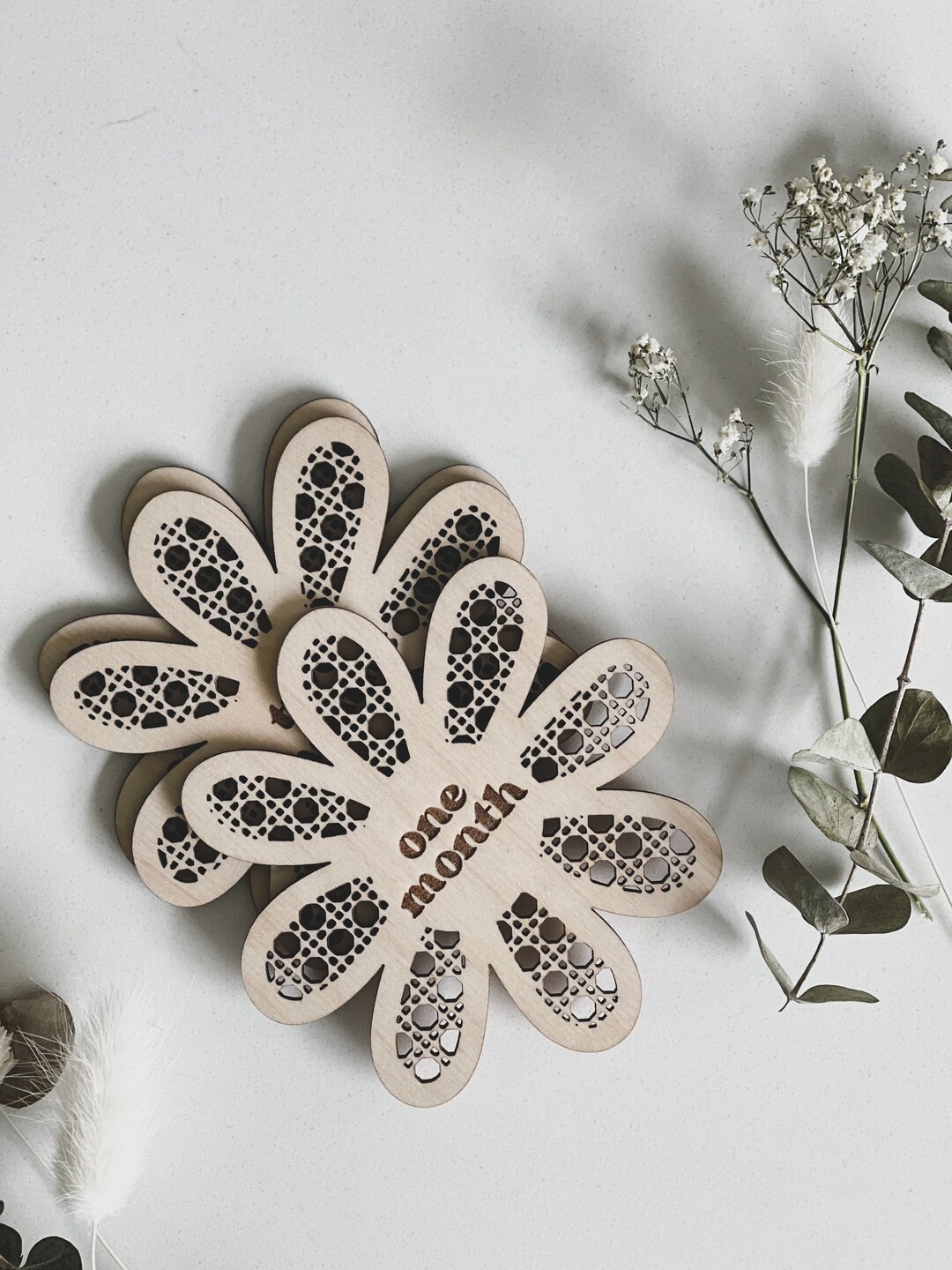 Daisy Monthly Milestones Discs • Birth Announcement • Milestones ...