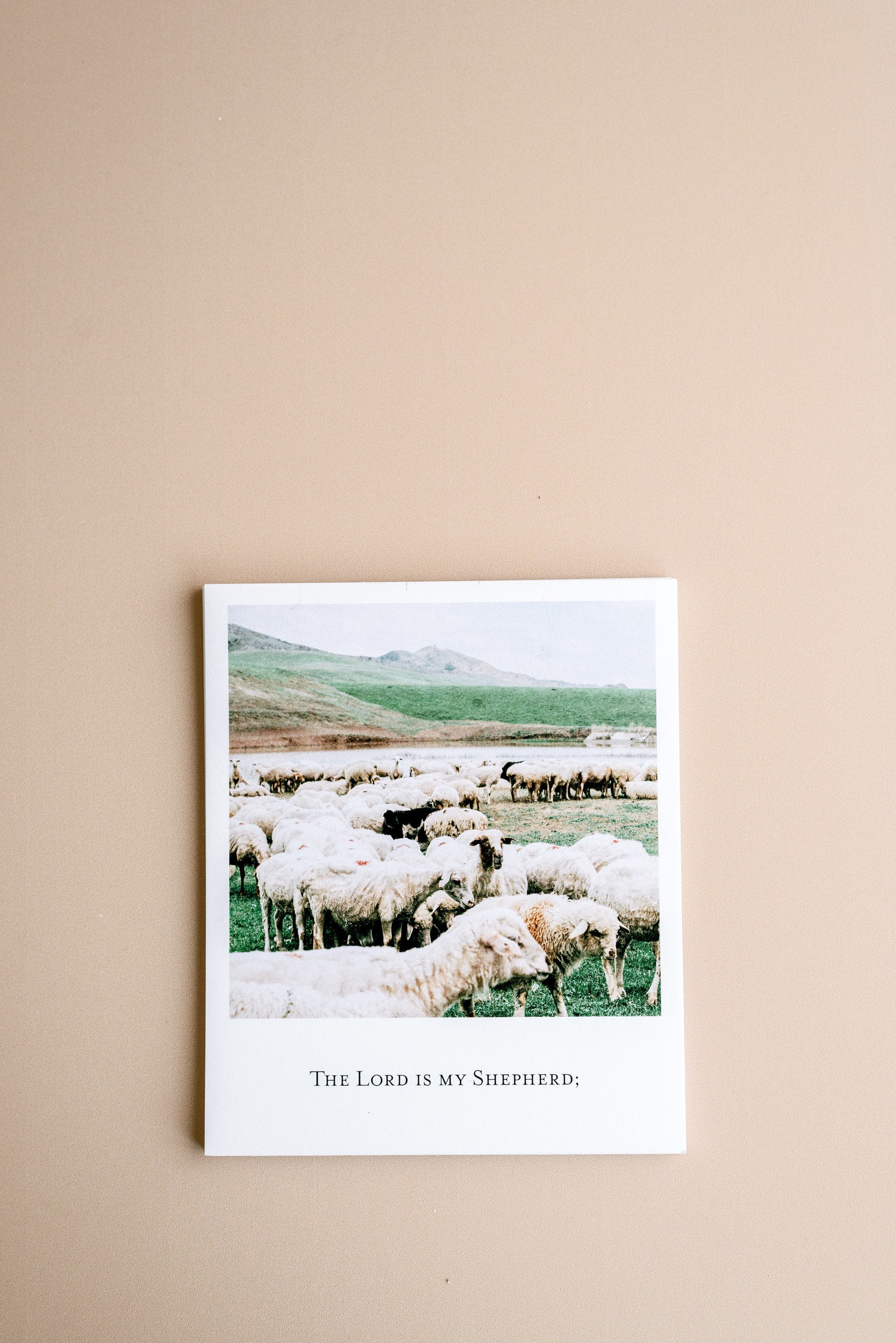 PRINTABLE Psalm 23 Scripture Cards, Affirmation Cards, Daily Devotional ...