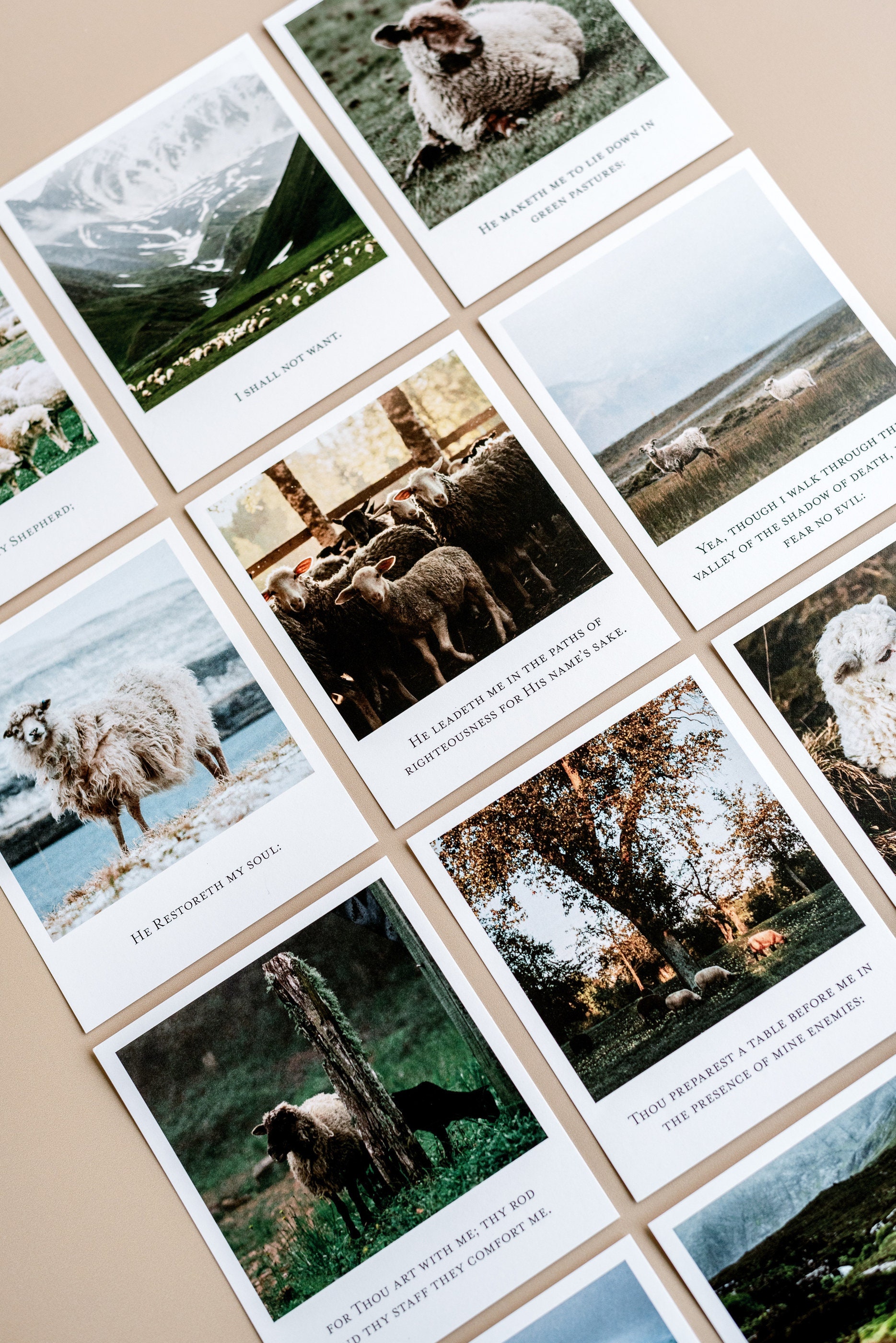 PRINTABLE Psalm 23 Scripture Cards, Affirmation Cards, Daily Devotional ...