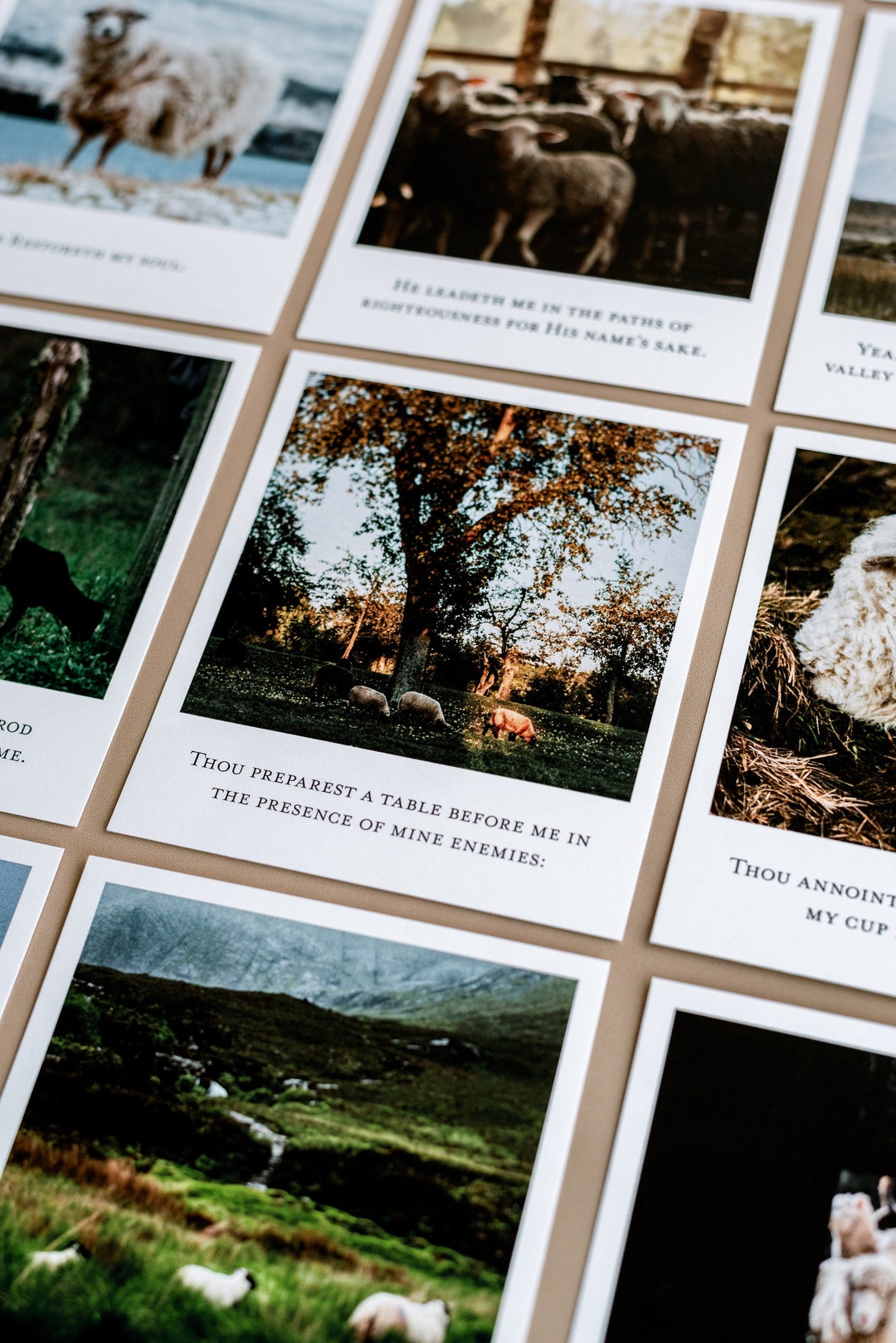 PRINTABLE Psalm 23 Scripture Cards, Affirmation Cards, Daily Devotional ...