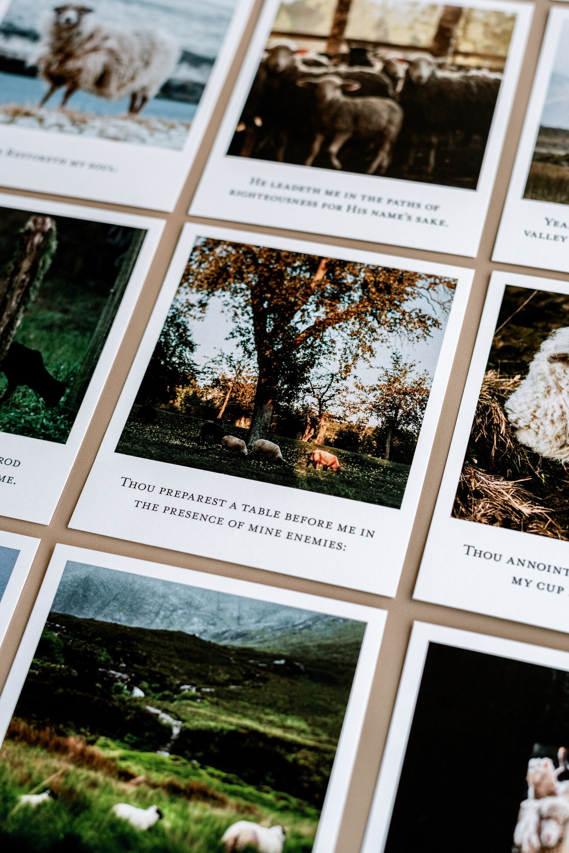 PRINTABLE Psalm 23 Scripture Cards, Affirmation Cards, Daily Devotional ...